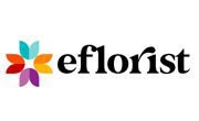 eFlorist – Buying Assistant